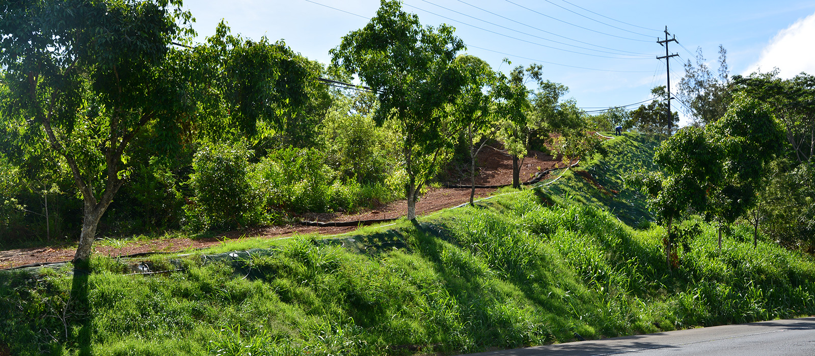 Storm Water Pollution Prevention Plan (SWPPP) - Storm Water Hawaii
